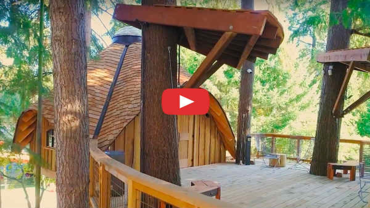 Microsoft now holds meetings in tree houses- Hindi Gizbot